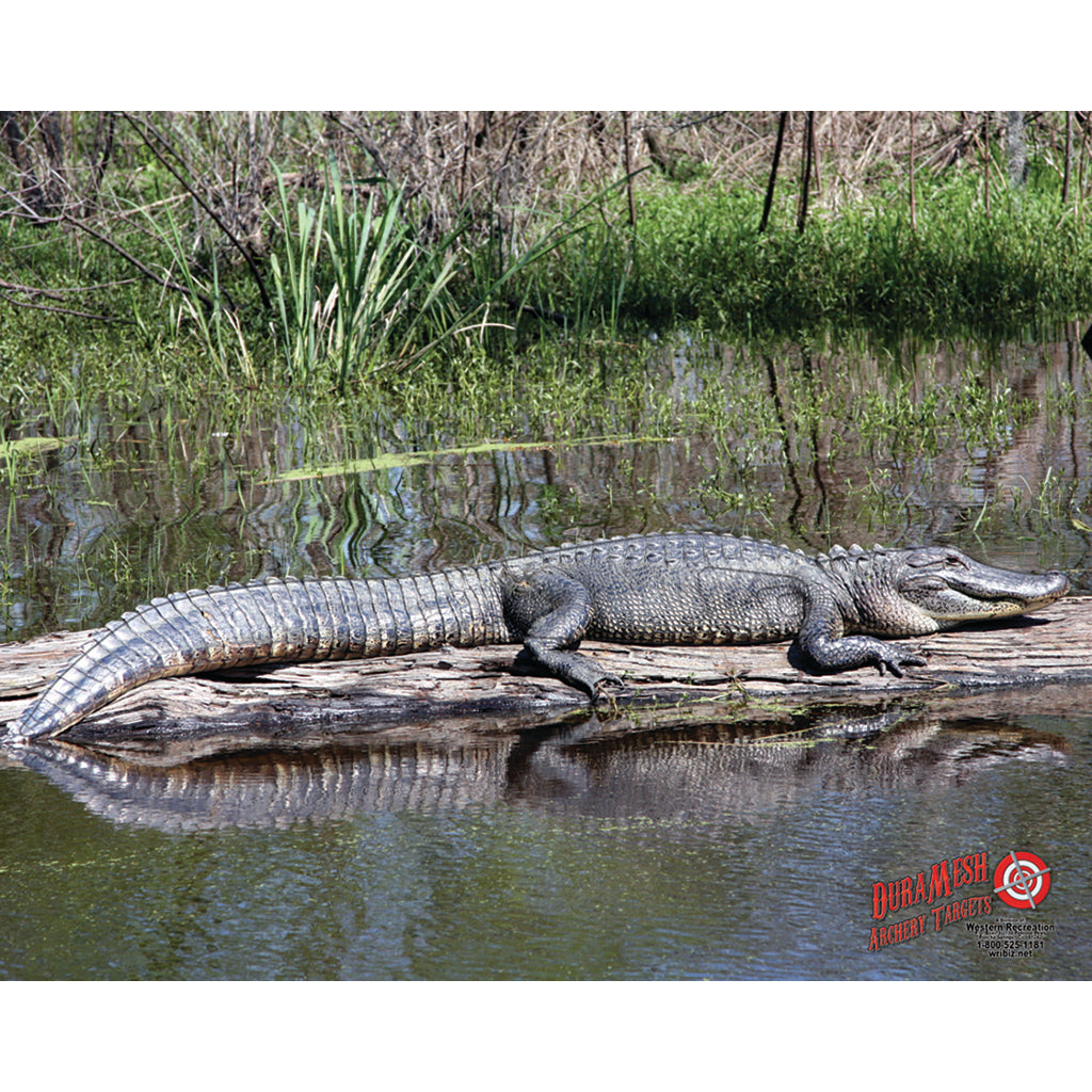 Duramesh Archery Target Alligator 25 In. X 32 In. – Texas Fowlers