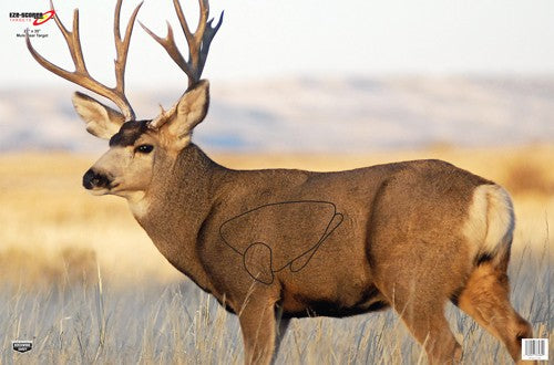 B/c Target Eze-scorer 23"x35" - Mule Deer 2 Targets – Texas Fowlers