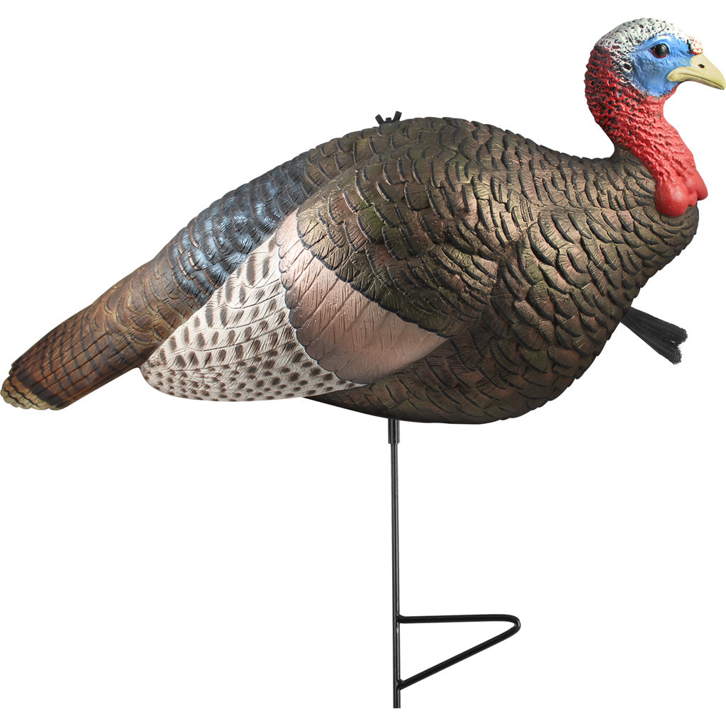 The Grind 1/2 Strut Jake Turkey Decoy – Texas Fowlers