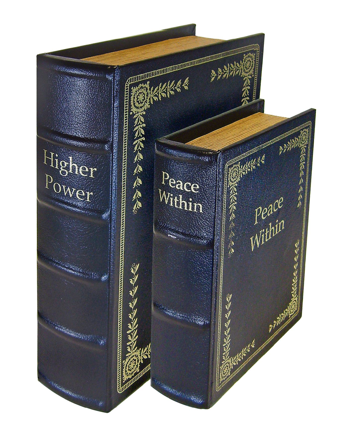 Ps Diversion Books - Set Of 2 – Texas Fowlers